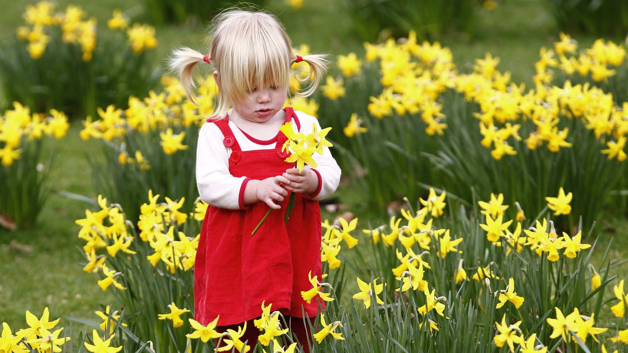 Spring is on its way