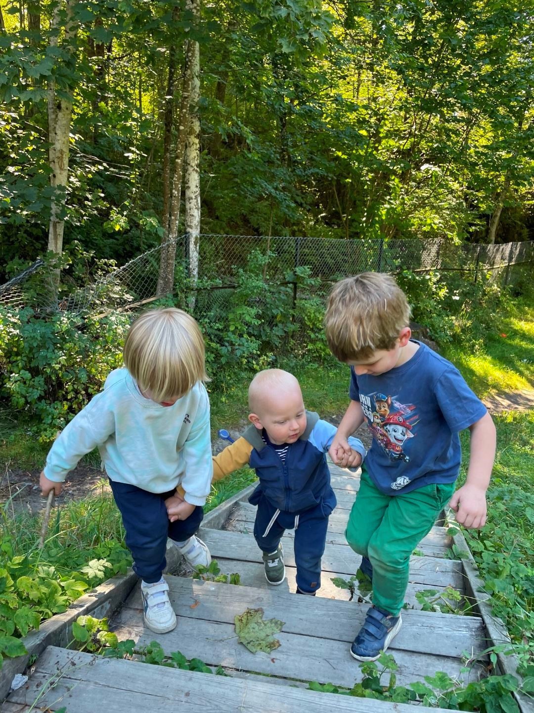 Store Ljan Barnehage SA