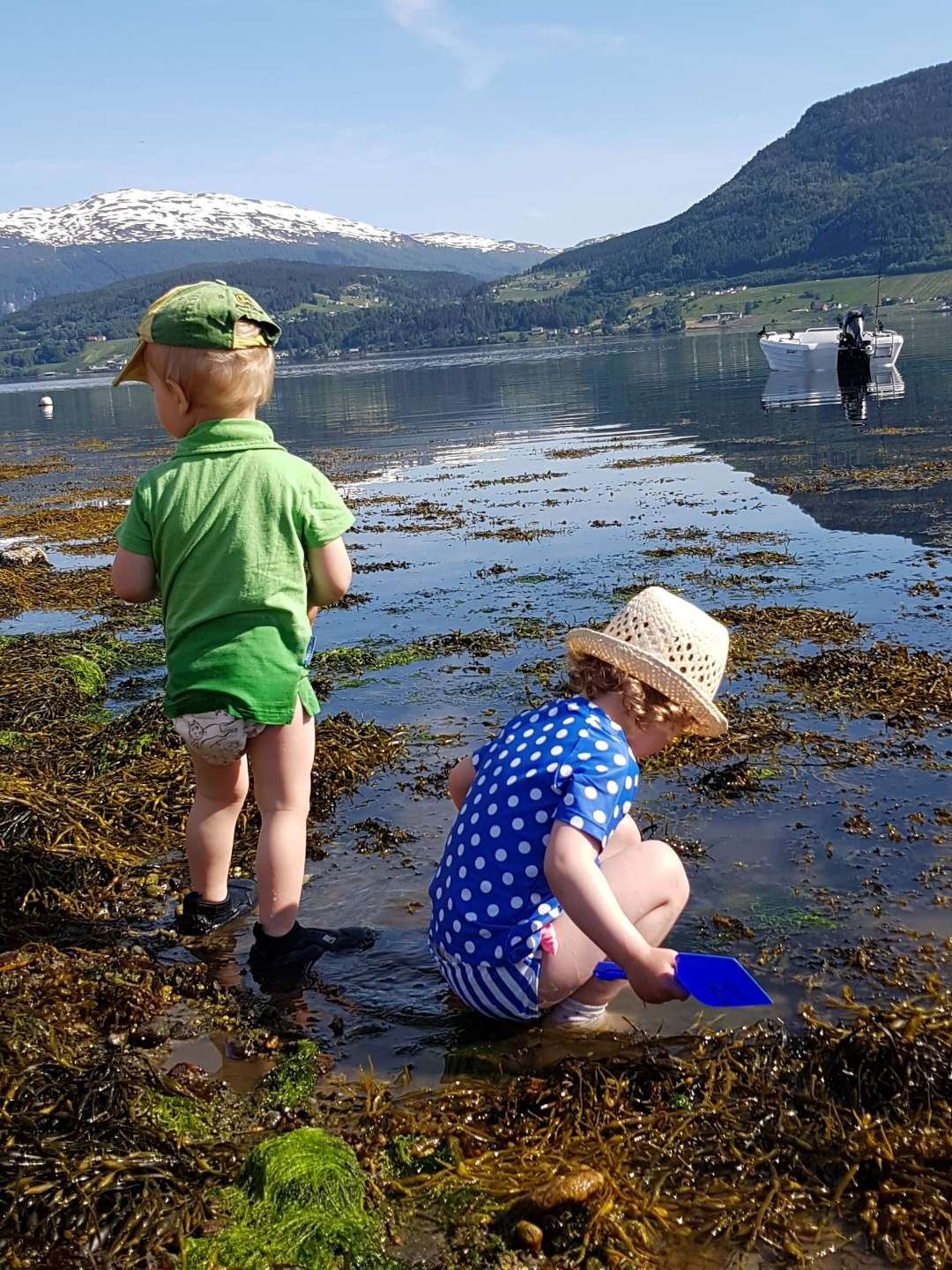 Oppstart hausten 2020